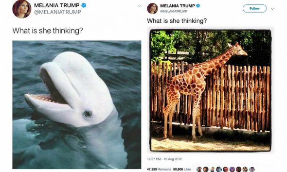 Twitter glitch changes Melania Trump's whale photo into giraffe - BNO News