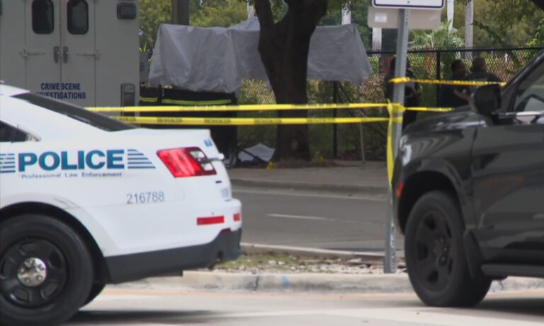 Man armed with stick attacks homeless people in Miami, killing 2 - BNO News