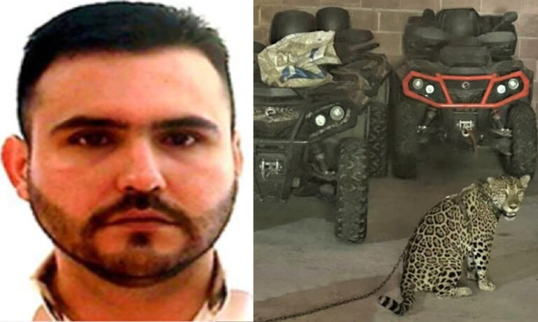 U.S. sanctions Mexican oil smuggling and drug trafficking network ...