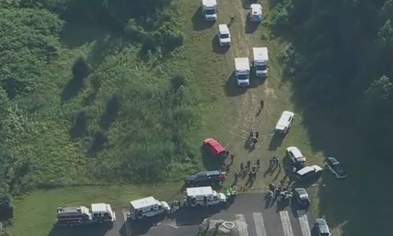 Skydiving plane with 15 on board crashes in New Jersey - BNO News