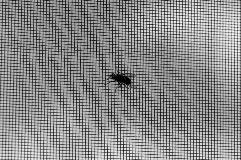 How Retractable Fly Screen Mechanism Quality Determines Whether the ...